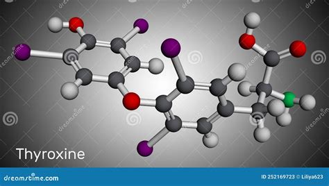 Levothyroxine Molecule Molecular Structures L Thyroxine 3d Model Structural Chemical Formula