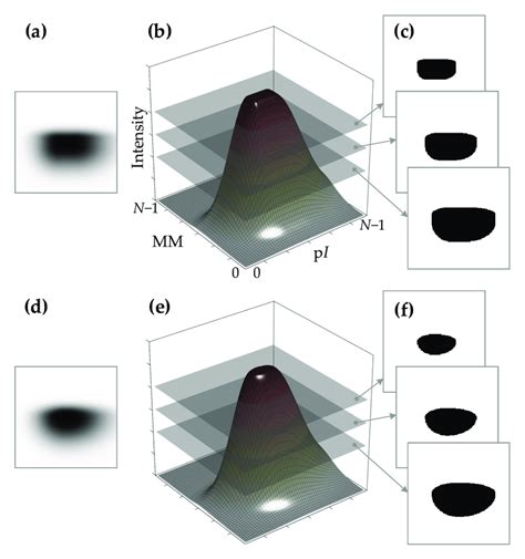 Results Of The Two Approaches To Generating The Synthetic Protein Spot Download Scientific
