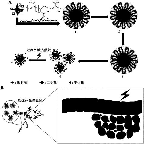 Thermosensitive Polymer Modified Bivalent Platinum Nanocluster And