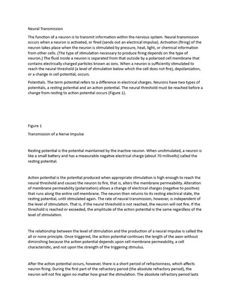 Neural Transmission Pdf Chemical Synapse Action Potential