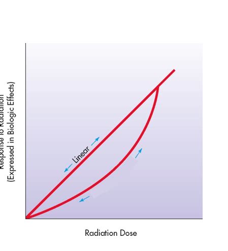 Chapter Review Powerpoint Rad Pro Flashcards Quizlet