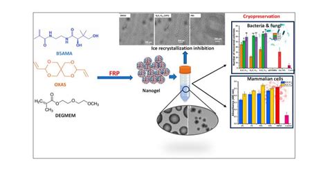 Vibhor Kumar On Linkedin Enhanced Cryopreservation Efficacies Of Ice