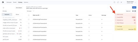 Processing Issues Errors And Warnings