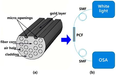A The 3d View Of The Spr Sensor Based On The D Shaped Pcf B Download Scientific Diagram