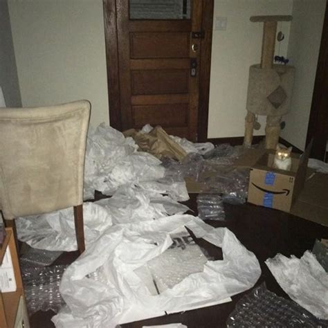 Stream Neural Oscillation Disruption Pattern Leaked By Cia Defector By Haixd Listen Online For