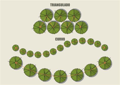 Gallery Of Key Elements Of Landscape Design Spatial Planning And Tree