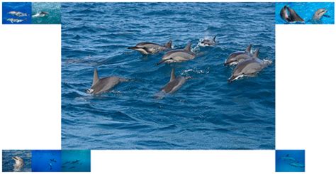 Interactive Thumbnail Based Photo Gallery In A Grid Layout Web Resources WebAppers