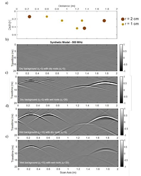 Geometry Of The Model Environment With Different Sizes Of Roots And