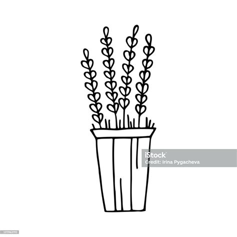 흰색 배경에 고립 된 냄비에 손으로 그린 꽃 낙서 간단한 개요 그림 그것은 섬유 종이의 장식에 사용할 수 있습니다 검은색에 대한 스톡 벡터 아트 및 기타 이미지 Istock