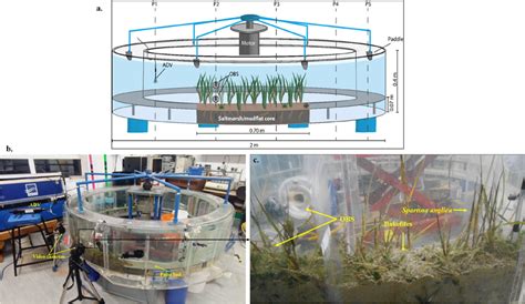 The Laboratory Carousel Annular Flume Set Up A C The In Situ