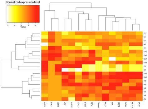 Unsupervised Hierarchical Clustering Of CTCs Positive Samples From