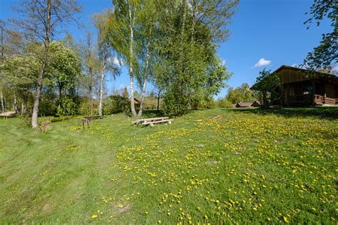 화창한 여름 날에 푸른 호수에 의해 레크리에이션 캠핑 지역 0명에 대한 스톡 사진 및 기타 이미지 0명 강 경관 Istock