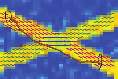 Reconstructing A Few Fibers Of The Corpus Callosum Bundle For The D2 Download Scientific
