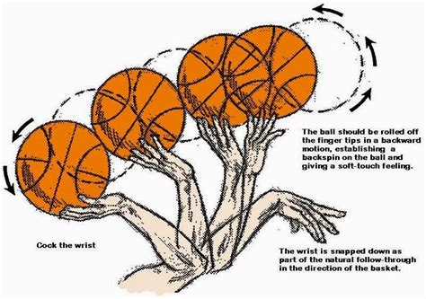 How To Quick Release Basketball At Kenton Bridges Blog