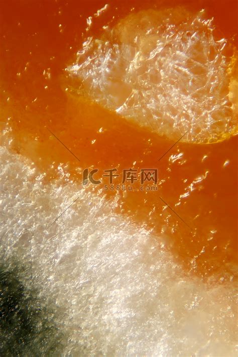 显微照片或腐烂的橘子高清摄影大图 千库网