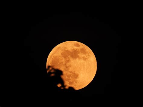 Asteroid Impact On Moon Blasted Two Grand Canyons In 10 Minutes Study