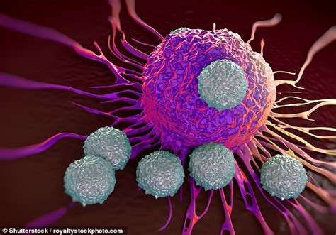 British Scientists Develop A Genetically Modified Virus That Kills Cancer Cells Daily Mail Online