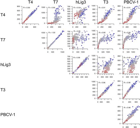 Figure 1 From Mismatch Discrimination And Sequence Bias During End Joining By Dna Ligases