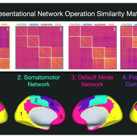Multidimensional Scaling Of The Activity Patterns For Each Of The Four Download Scientific