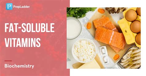 Overview Of Fat Soluble Vitamins