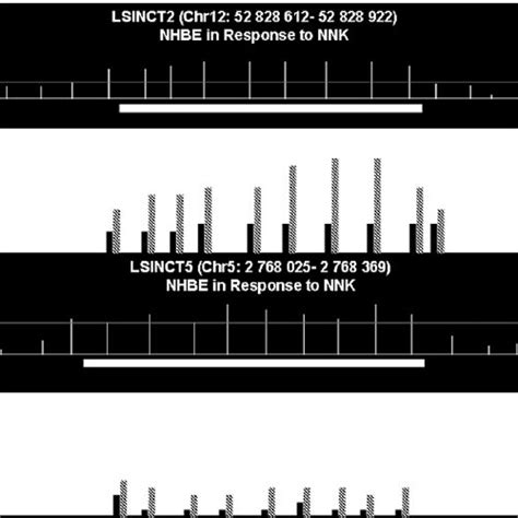 Tiling Array Data Analyzed With The Integrated Genome Browser For