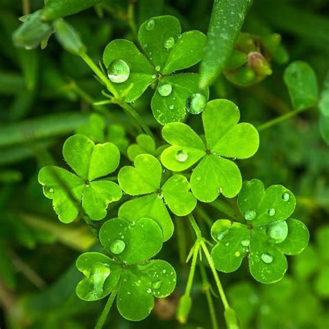 스마트폰 비밀번호 푸는 방법잠금 해제 방법은