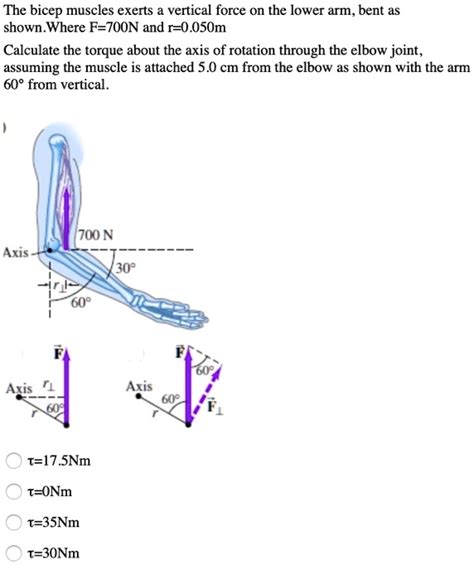 Solved The Bicep Muscles Exert A Vertical Force On The Lower Arm Bent As Shown Where F 200 Solved The Bicep Muscles Exert A Vertical Force On The Lower Arm Bent As Shown Where F 200