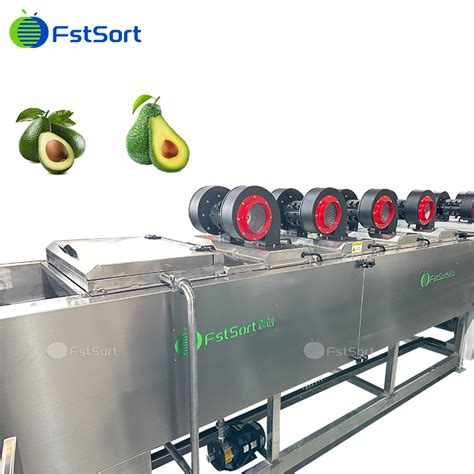 Fruit Weight Sorter Avocado Washing Sorting Machine Fruit Sizing Machine Fruit Classification