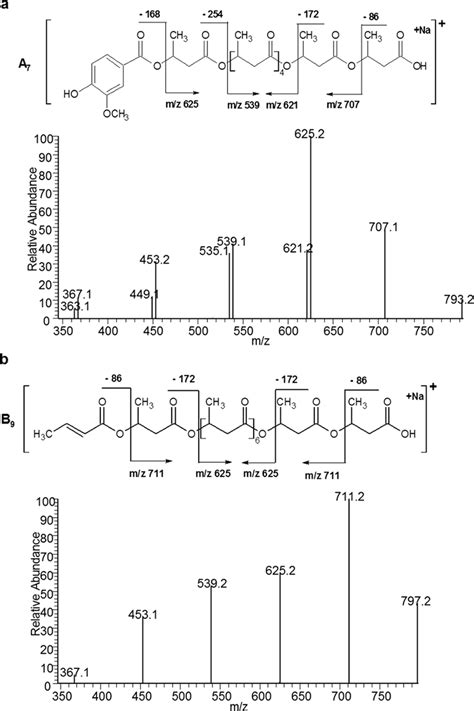 Esi Msms Fragmentation Spectra Positive Ion Mode Of The Selected
