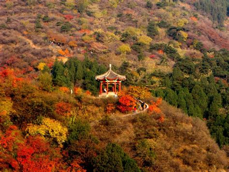 北京香山赏红叶攻略，什么时候去最合适？ 第六感度假