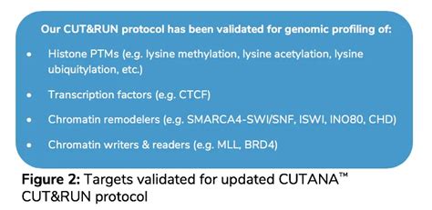 Epicyphers Optimized Cutana™ Cutandrun Protocol For Transcription