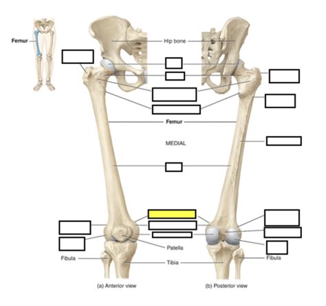 Exam 2 Ch 5 6 7 Flashcards Quizlet