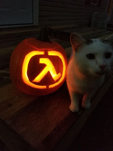 First Lambda Pumpkin With My Cat Rhalflife