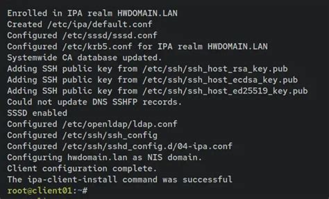How To Install FreeIPA Server With Docker On Debian