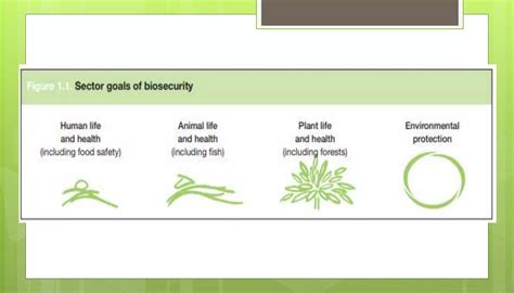 Biosecurity Pptx