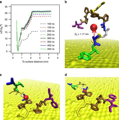 Molecular Dynamics Simulation A The Calculated Potential Of Mean Force Download Scientific