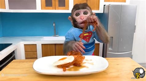 ویدئو کارتونی بچه میمون بازیگوش ماجراهای شنا کردن بچه میمون بامزه فیلو