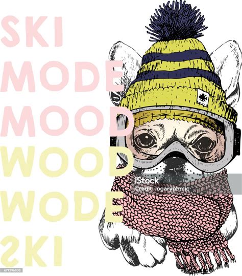 벡터 포스터 비글 강아지의 초상화를 닫습니다 스키 모드 분위기입니다 강아지 비 니 스카프와 눈 고글을 착용입니다 강아지 어린
