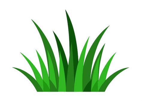 Green Wheatgrass Vectors And Illustrations For Free Download