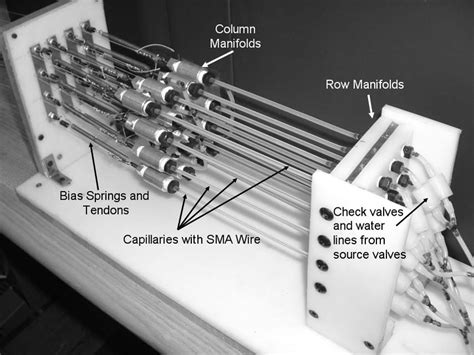 Implementation Of Wet SMA Actuator Array Download Scientific Diagram