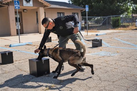 Cim Honors Contraband Detecting K 9s