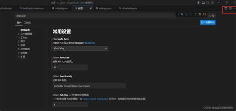 vs code 设置了自动格式化保存 但是json 配置文件不想自动格式化 用vscode json文件转换为文本 csdn博客