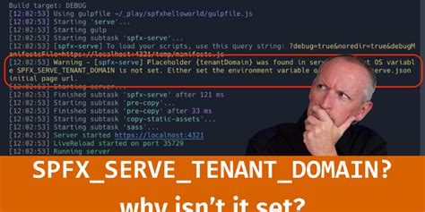 Setting The Sharepoint Framework Hosted Workbench Test Site