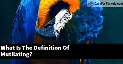 What Is The Definition Of Mutilating Care For Parrots