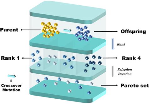 One Of The Nsga Ii Basic Processes Download Scientific Diagram