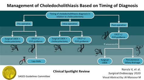 Choledocholithiasis Vs Cholelithiasis Gallbladder Disease Galster