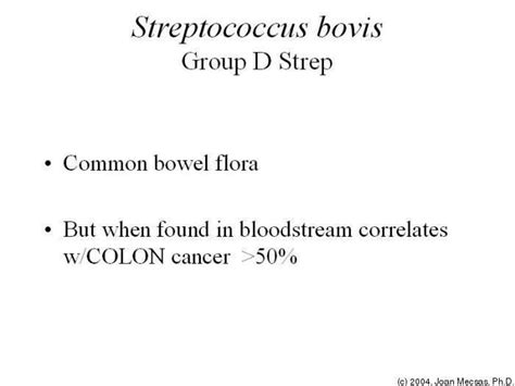 Streptococcus Bovis Alchetron The Free Social Encyclopedia