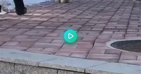 Perfect Recovery Album On Imgur