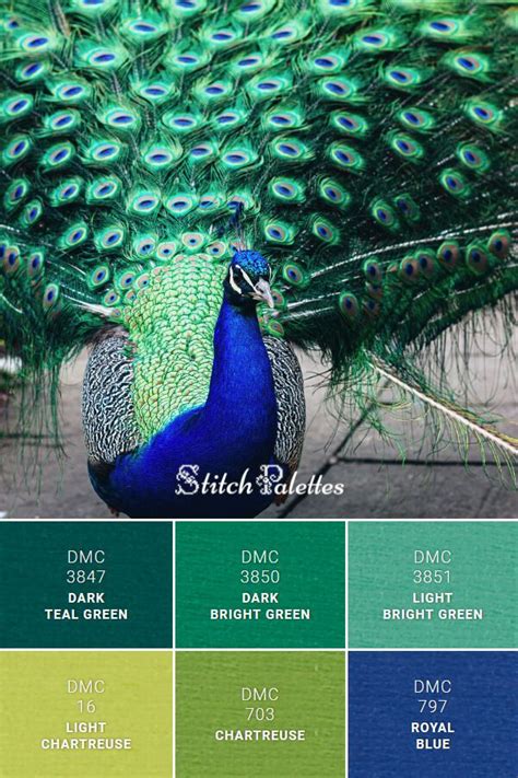 Peacock Pride | Green colour palette, Teal color palette, Color palette
