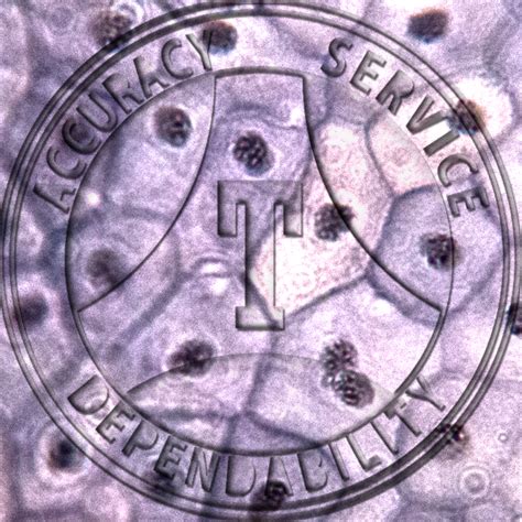 Frog Skin Microscope